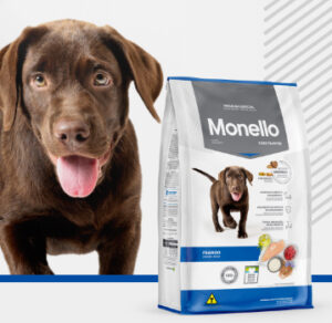 Monello Dog Cachorros - Monello